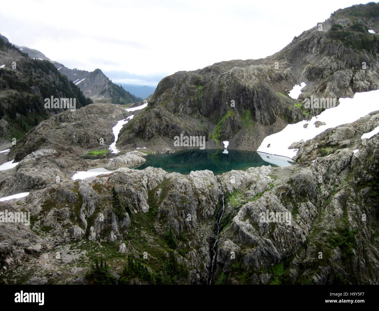 Olympic National Park, known for its diverse ecosystems, offers a ...