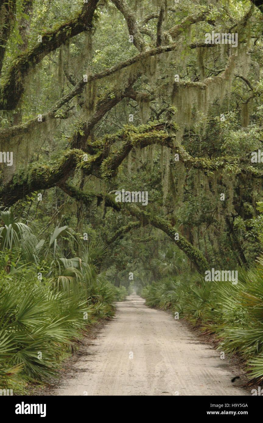 A photograph of the main road, offering access to a nature park, where ...