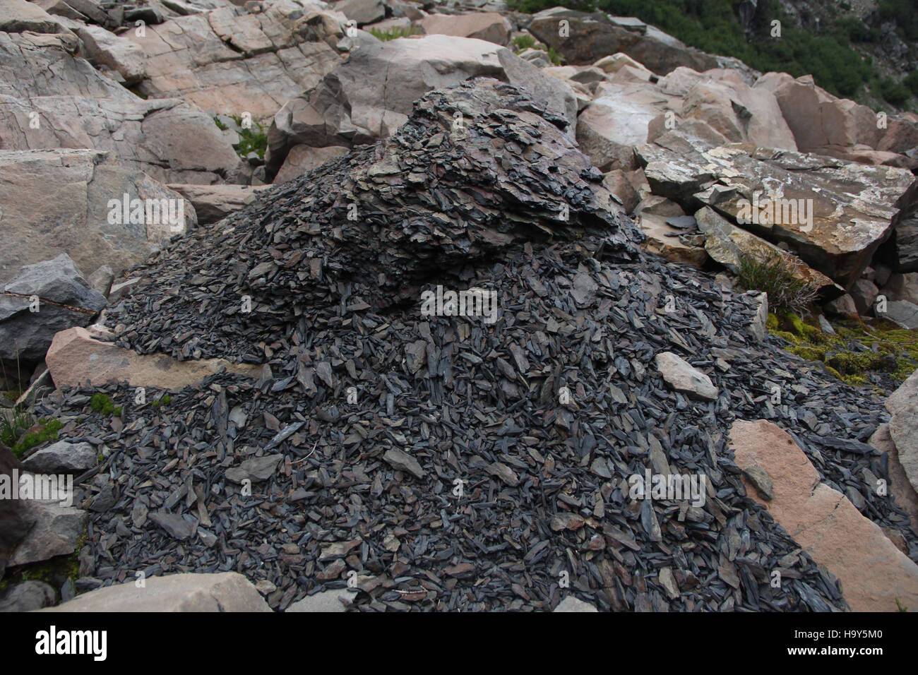 Visitors explore rocky coast hi-res stock photography and images - Alamy