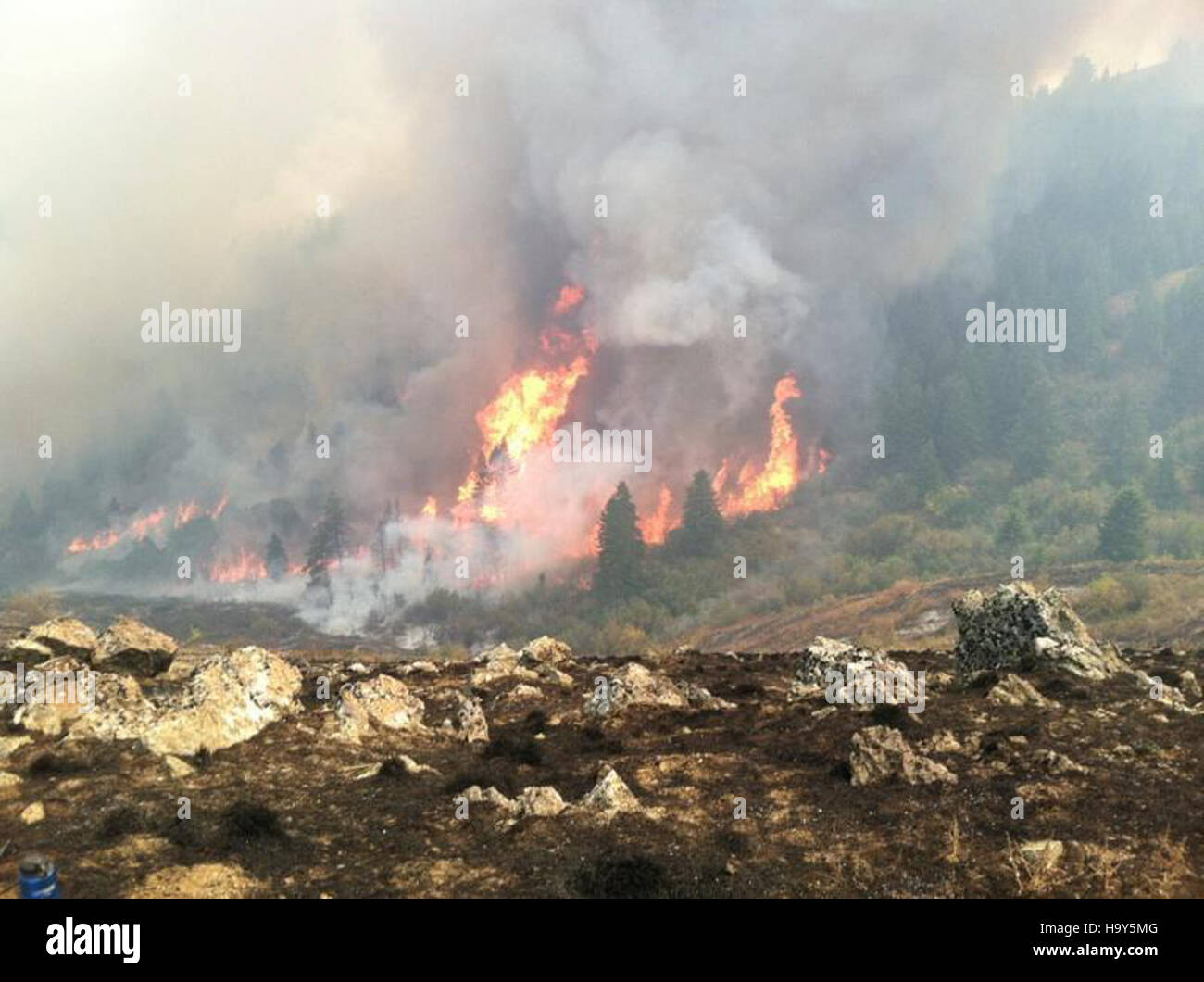 The Weiser Fire, managed by the USDA, was a significant forest fire ...
