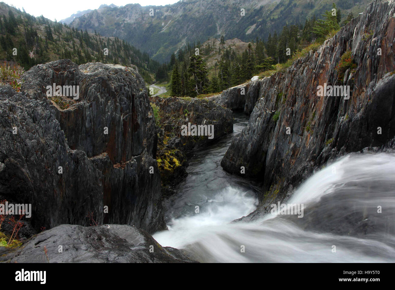 A waterfall in Olympic National Park, captured by photographer Pete ...