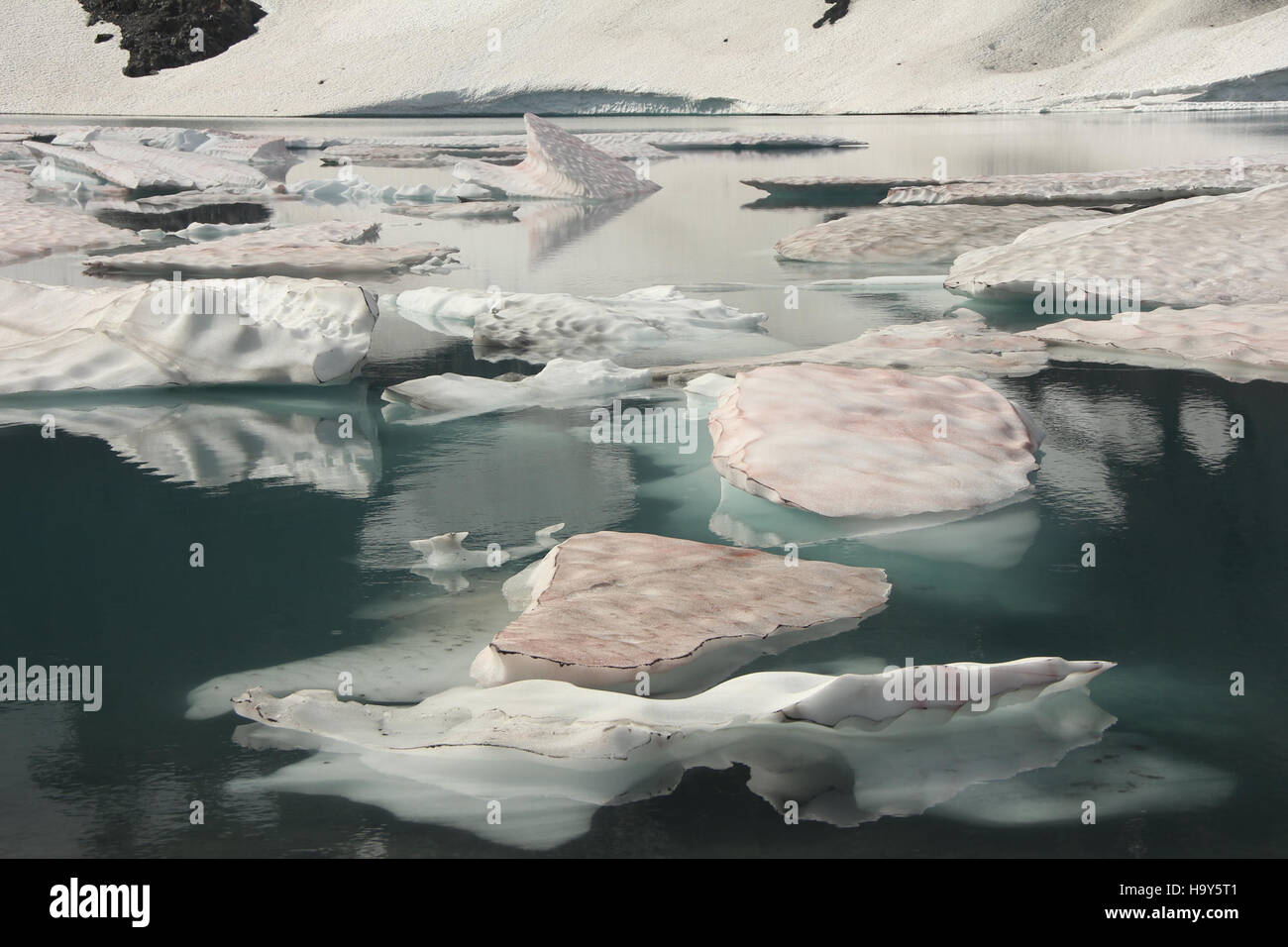 In Olympic National Park, the effects of climate change are evident as ...