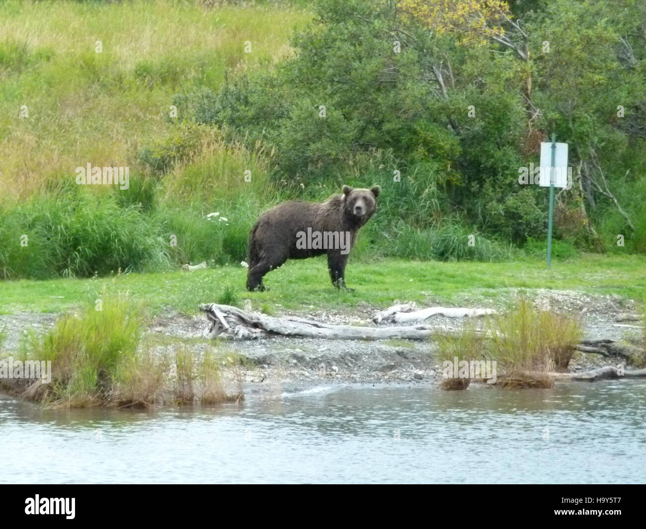 This photo captures the stunning natural beauty of Katmai National Park ...