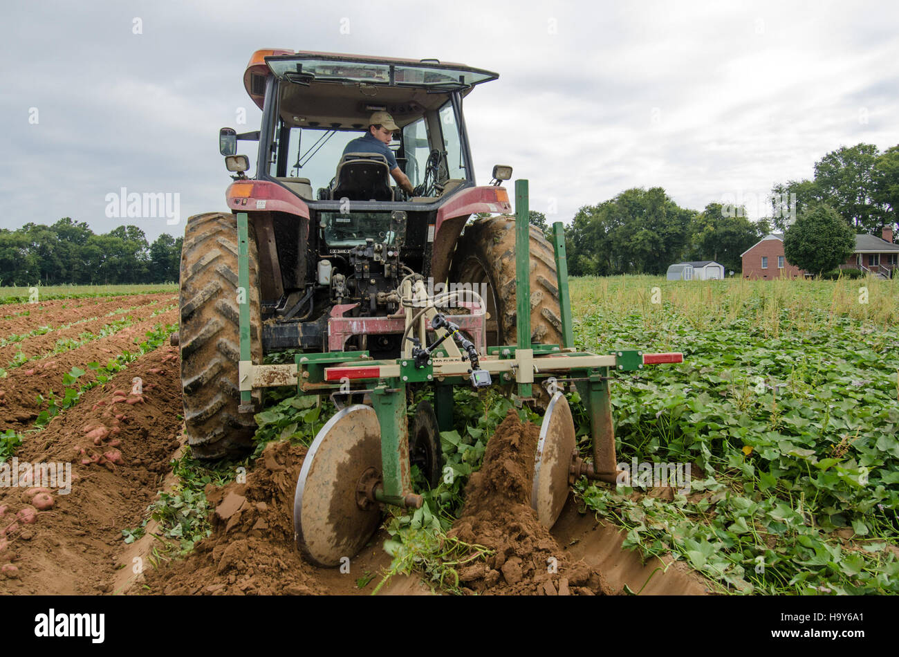 At Kirby Farm in Virginia, USDA workers harvest crops such as squash ...