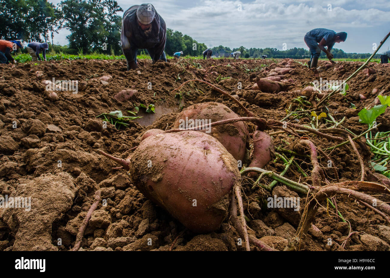 The USDA Department of Agriculture supports farm workers at Kirby Farm ...
