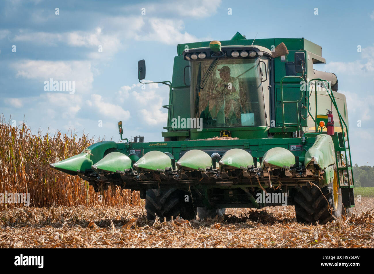John N. Mills & Sons farm in Hanover, Virginia harvests feed corn using ...