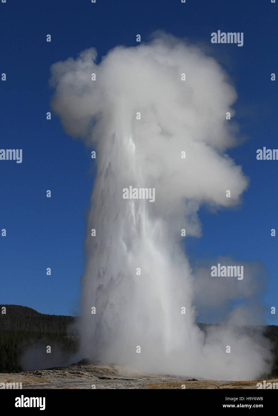 This image shows the eruption of Old Faithful Geyser, one of ...