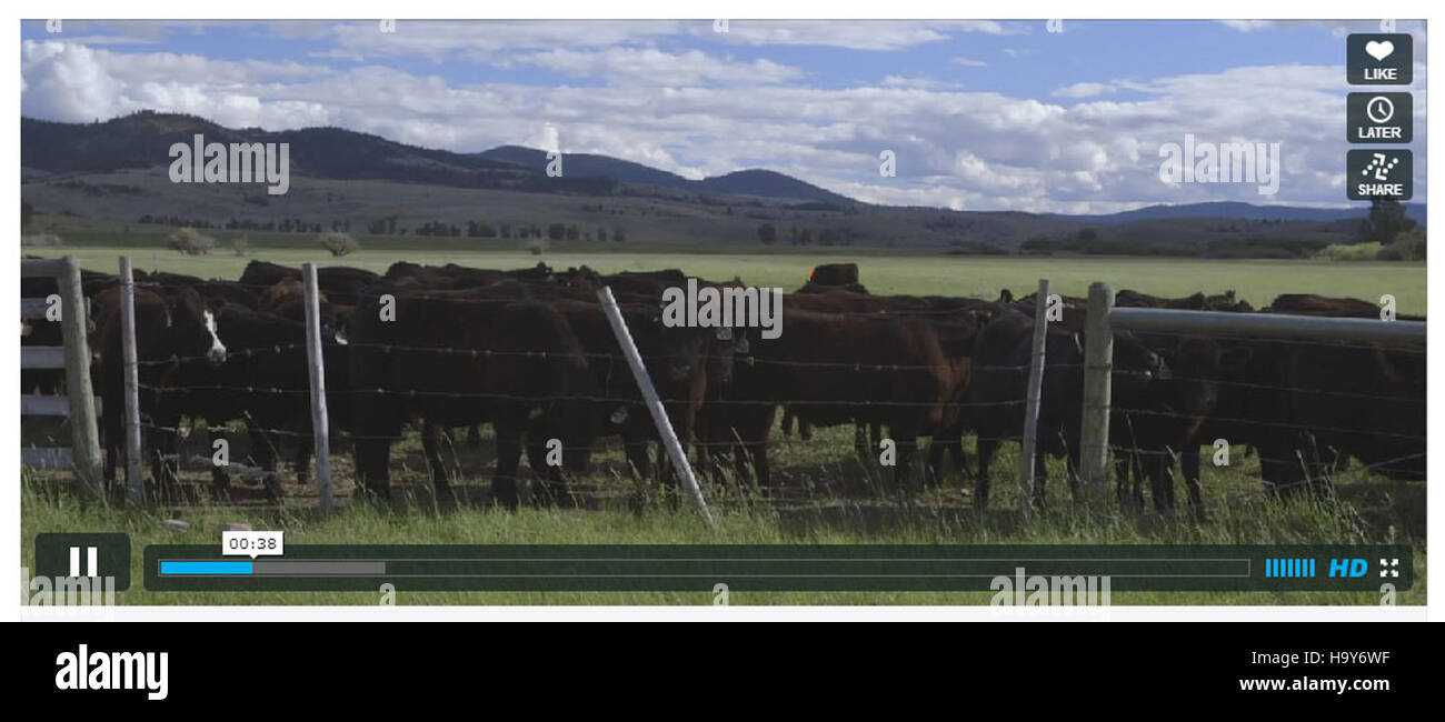 Showing the public about farming hi-res stock photography and images ...