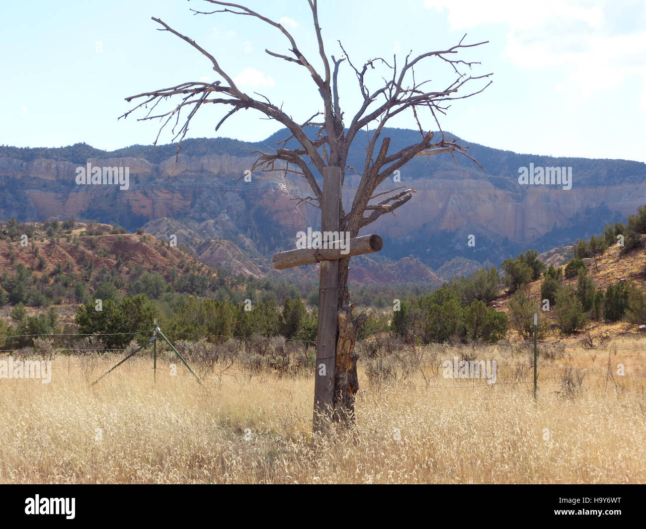 The cross found in the cemetery, a historical artifact, is a symbol of ...
