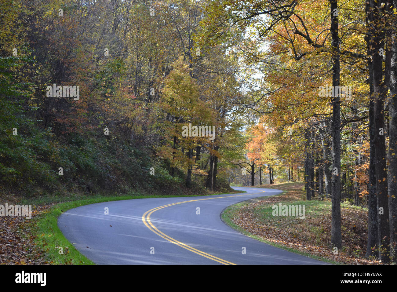 Explore vibrant stunning display hi-res stock photography and images ...
