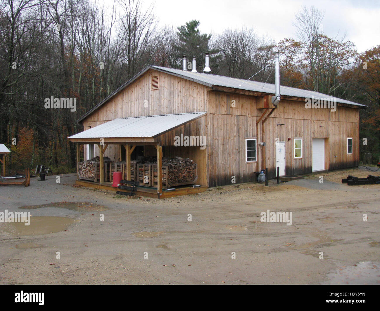 Harvard Forest, a vital ecological research site, contributes to ...