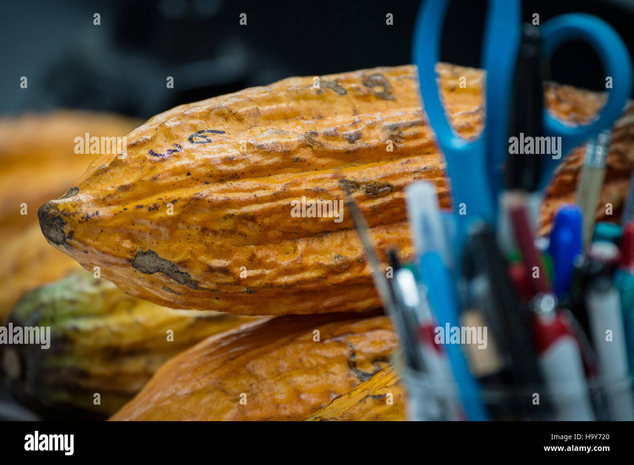 The U.S. Department of Agriculture's Agriculture Research Service (ARS ...
