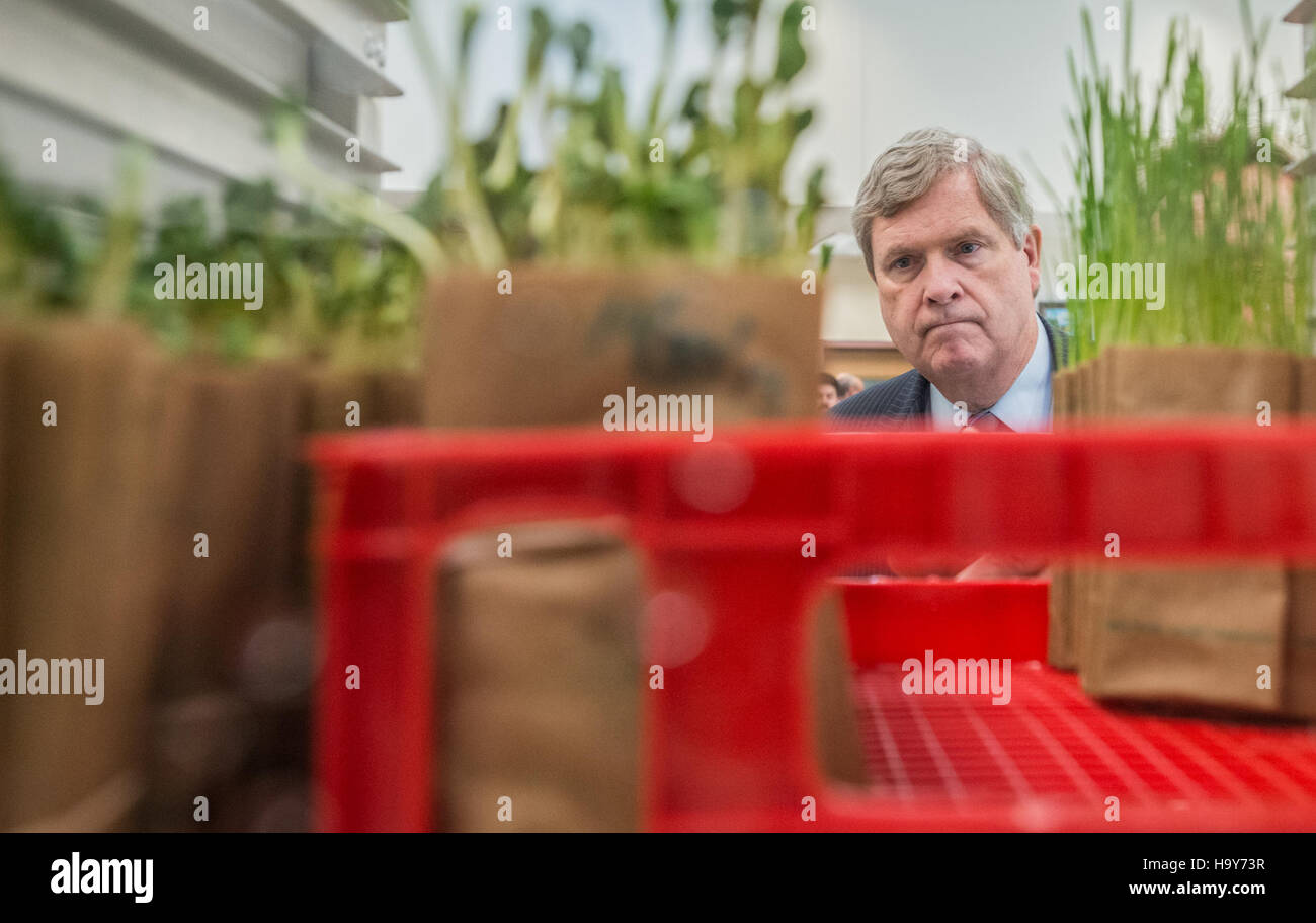 The USDA's National Center for Genetic Resources Preservation (NCGRP ...