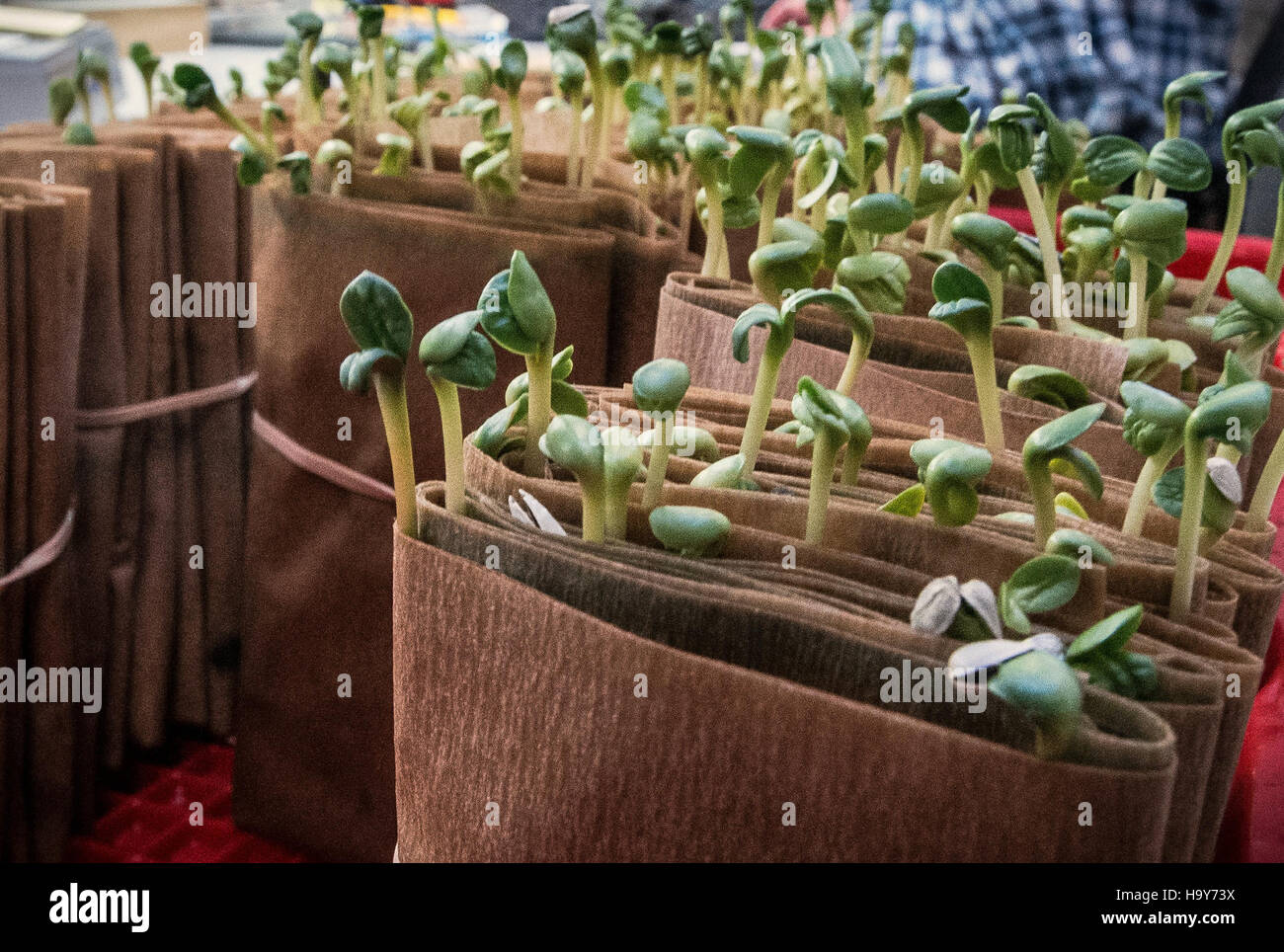 A USDA initiative promotes environmental science and sustainability ...