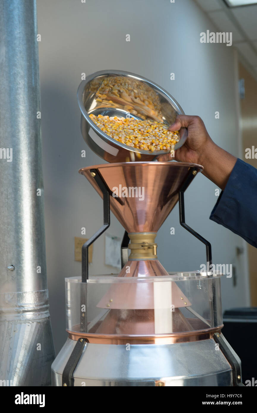 The USDA's Grain Inspection, Packers, and Stockyards Administration ...