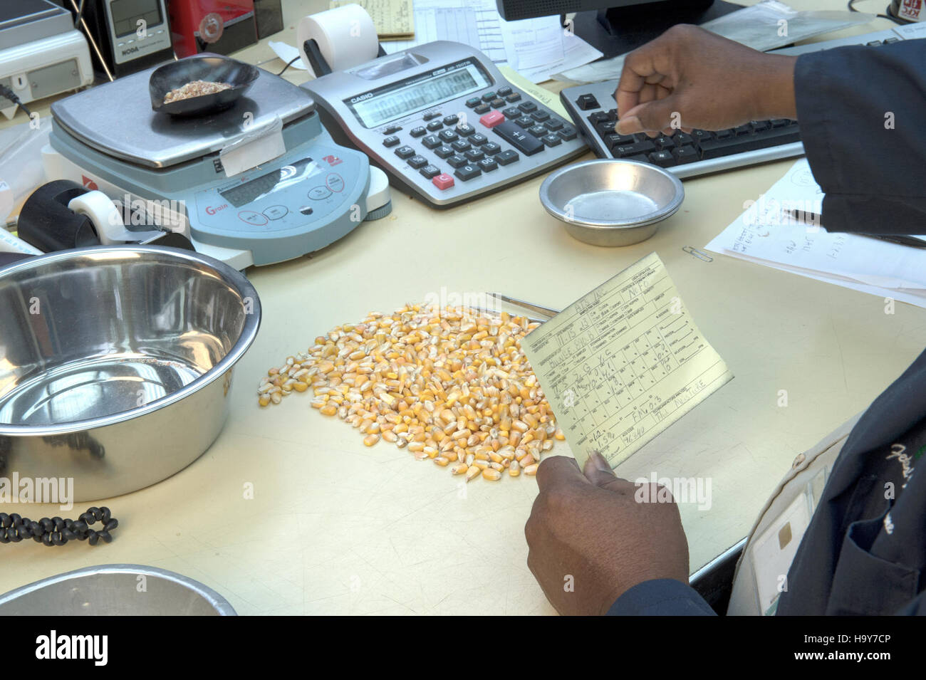 The USDA and GIPSA oversee corn packers and grain inspections to ensure ...