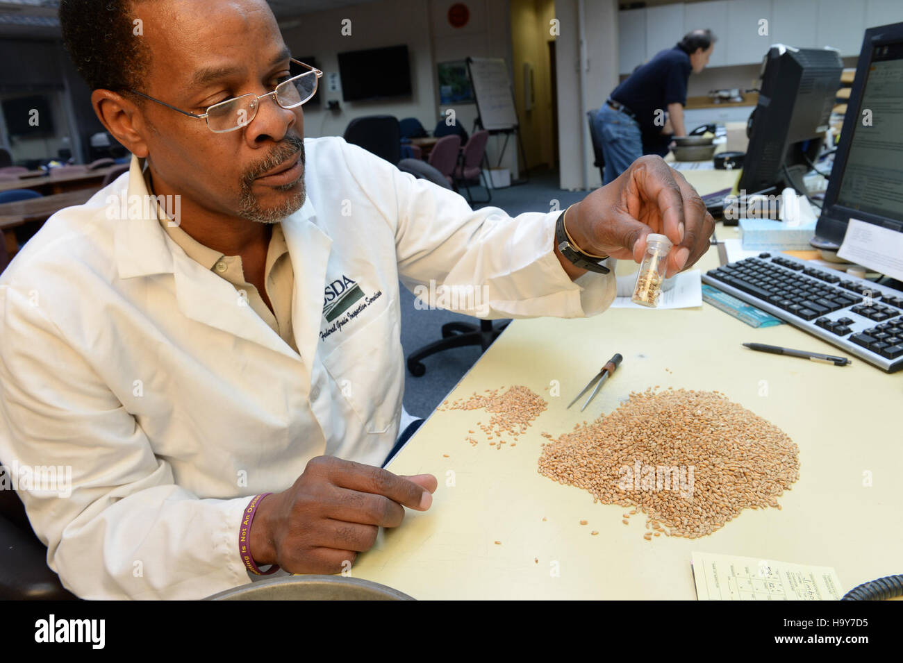 The USDA's grain inspection service ensures the quality of wheat at ...