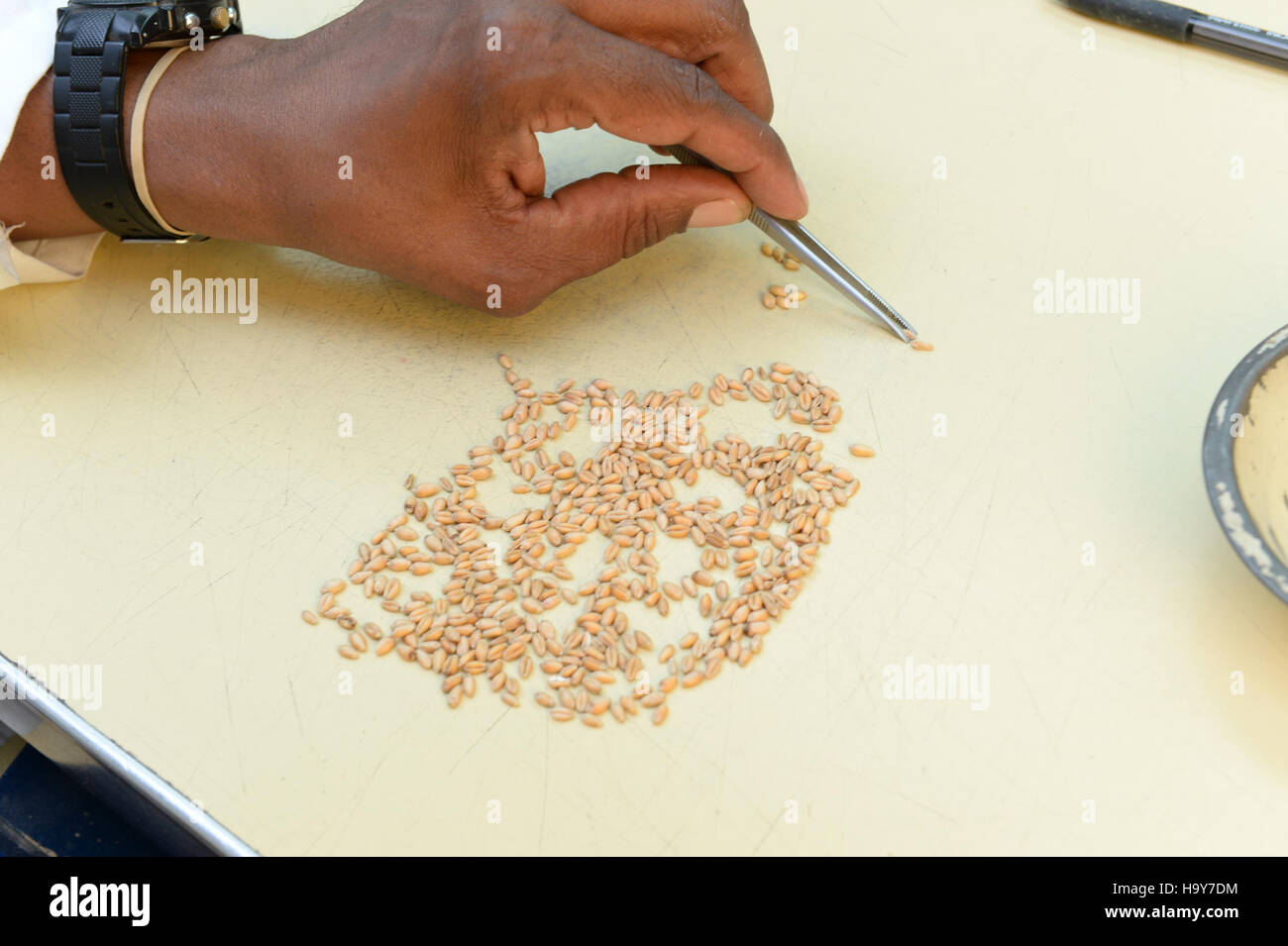 This image shows the U.S. Department of Agriculture (USDA) and the ...