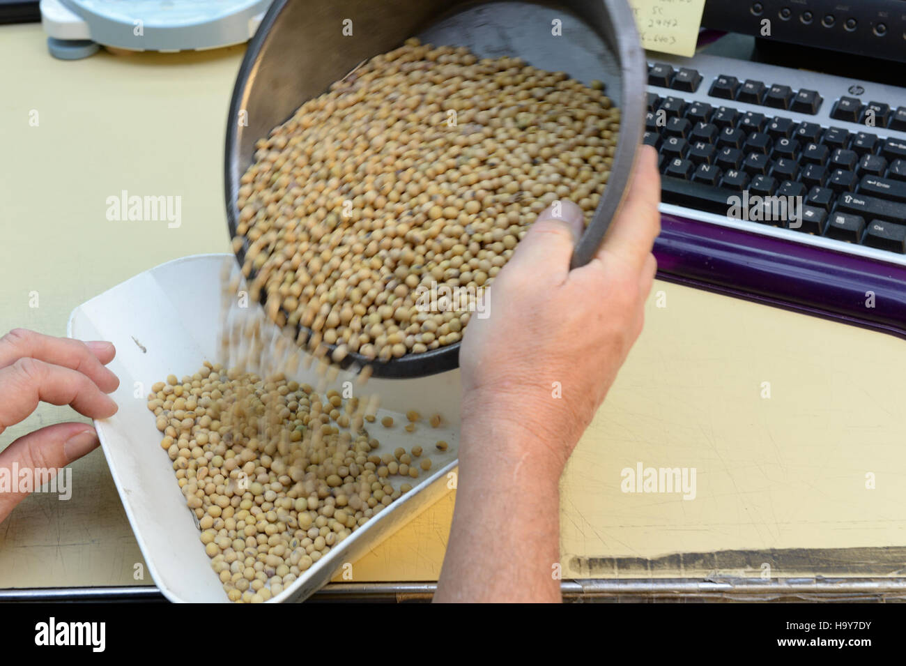 The USDA and GIPSA collaborate on grain inspection to ensure quality ...