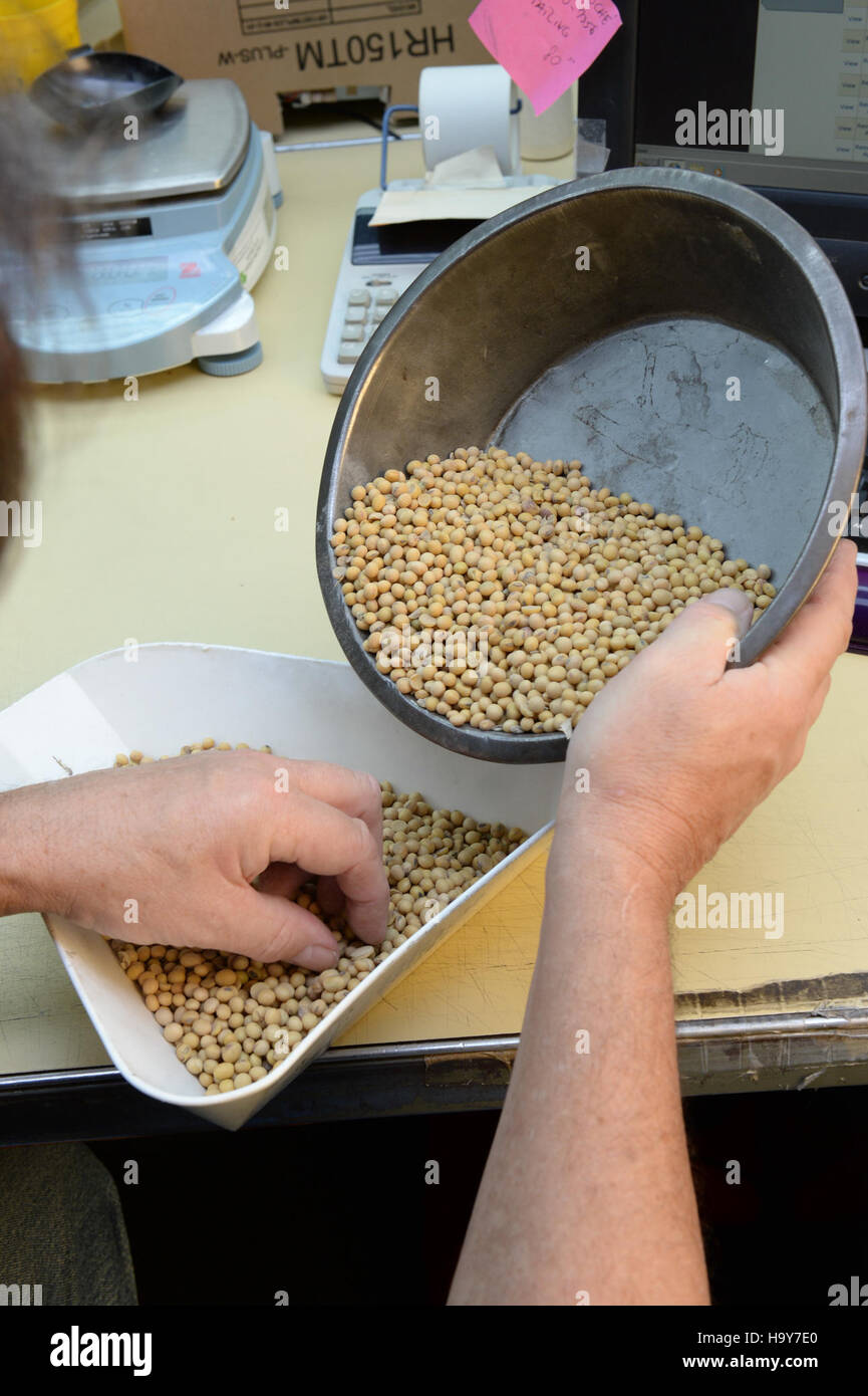 The USDA's Grain Inspection Packers and Stockyards Administration ...