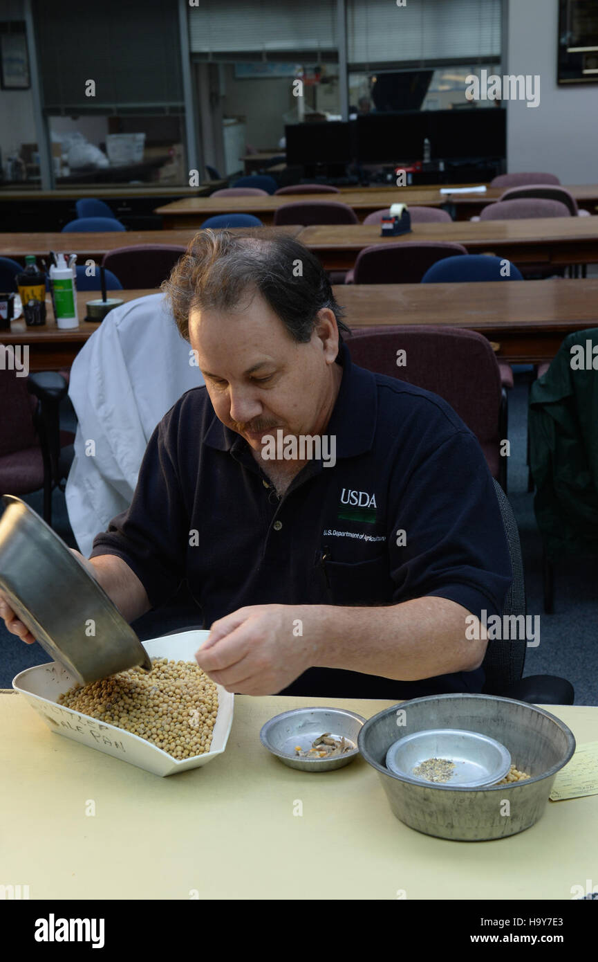 The U.S. Department of Agriculture (USDA) and the Grain Inspection ...