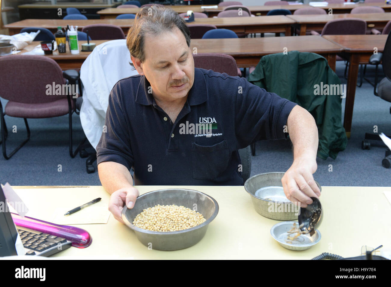 The USDA and GIPSA oversee grain inspections to ensure quality control ...