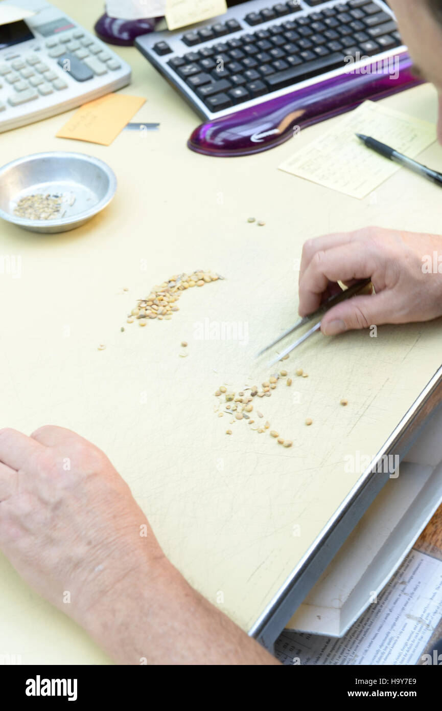 An image from the USDA and GIPSA showing grain inspection processes at ...