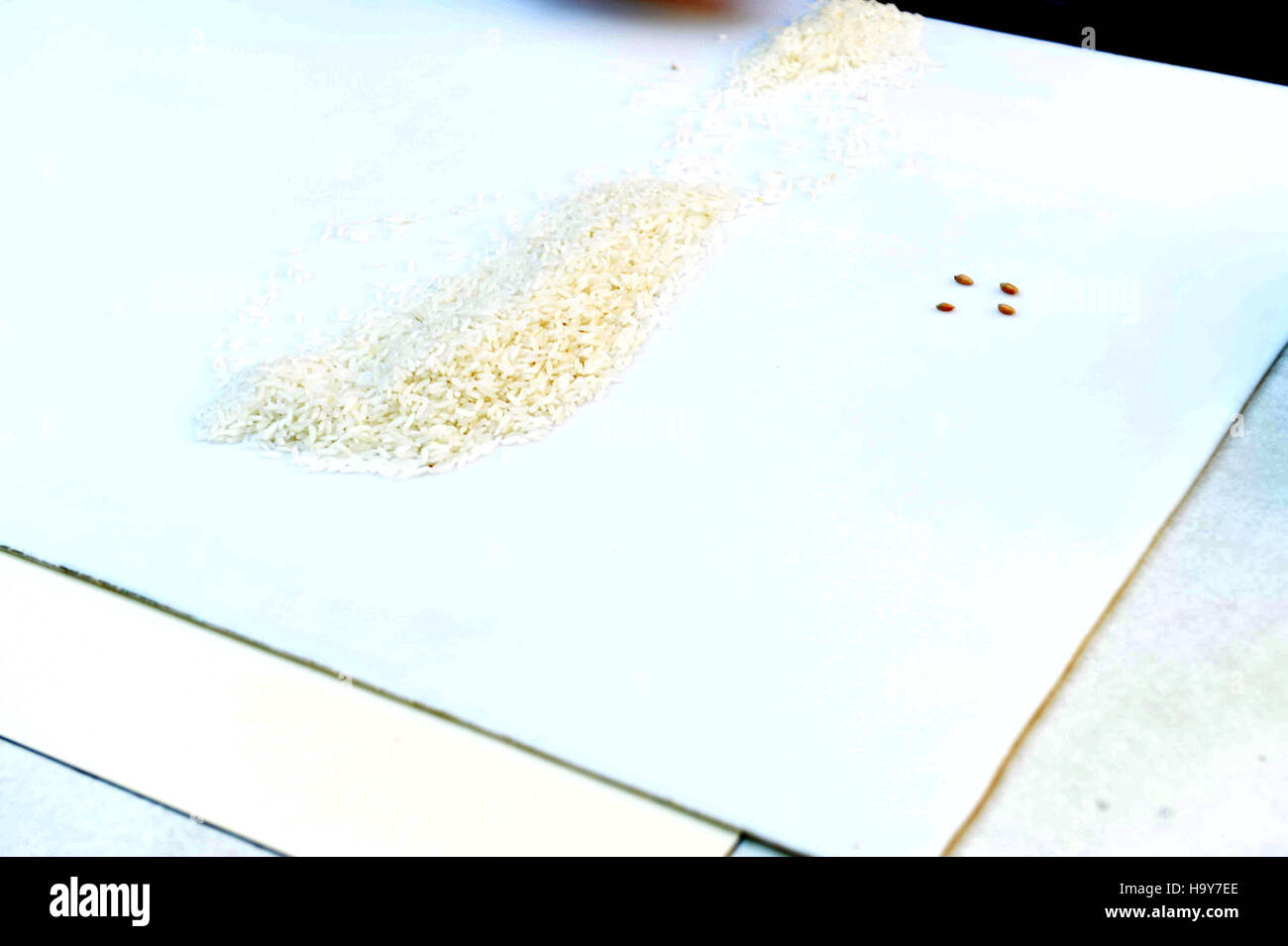 The USDA and Stockyards Agency conduct grain inspection at a facility ...