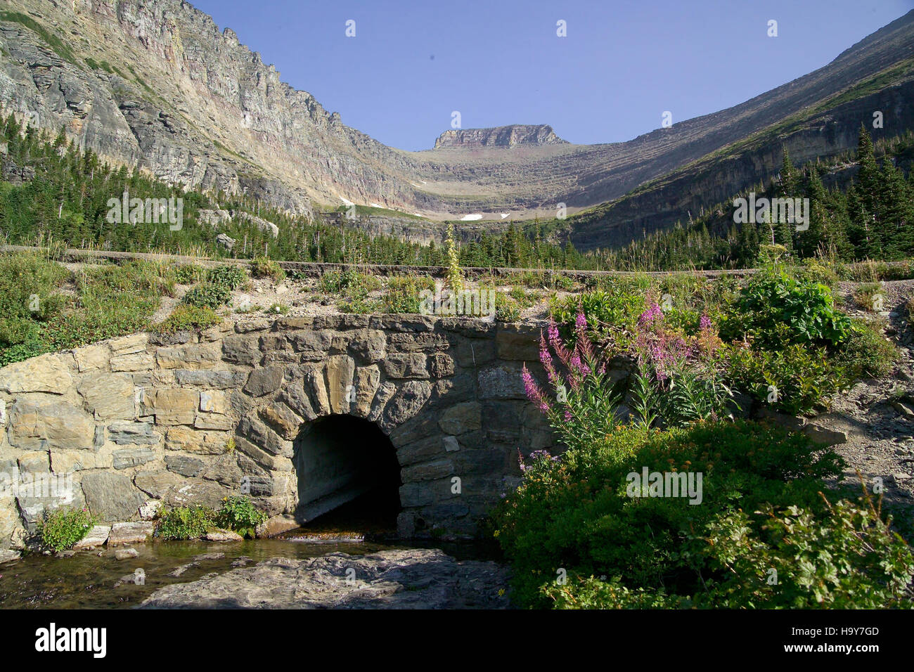 Lunch Creek in Glacier National Park is a pristine location offering ...