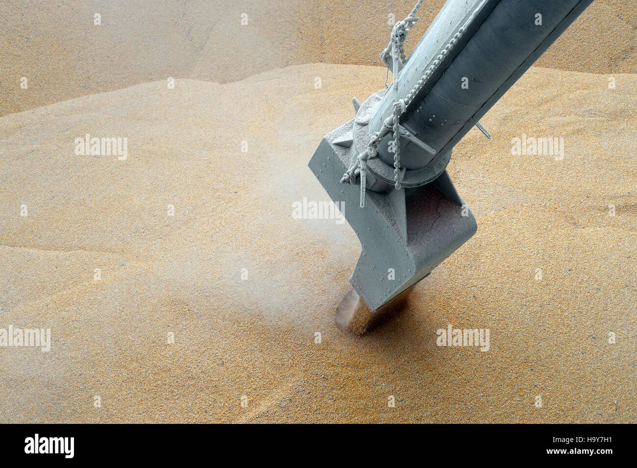 The USDA and GIPSA oversee grain inspection and storage processes to ...