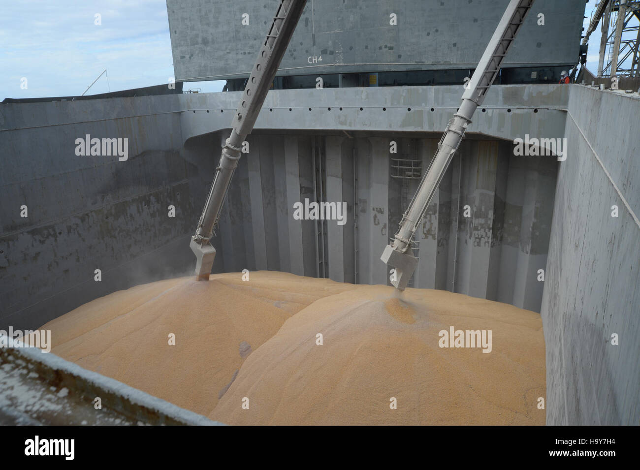 Grain inspection hi-res stock photography and images - Alamy