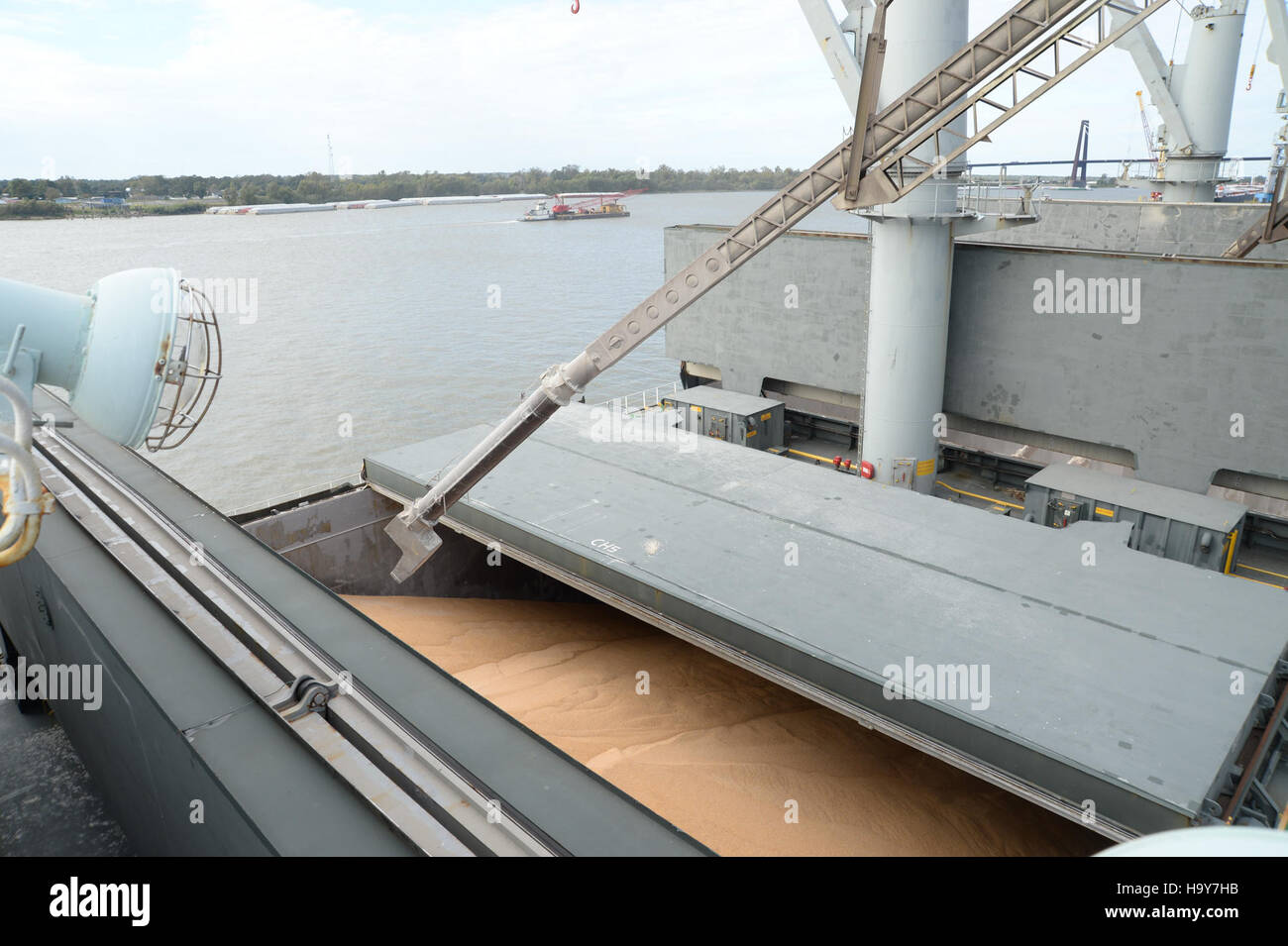 This image highlights the USDA's role in grain inspection, storage, and ...