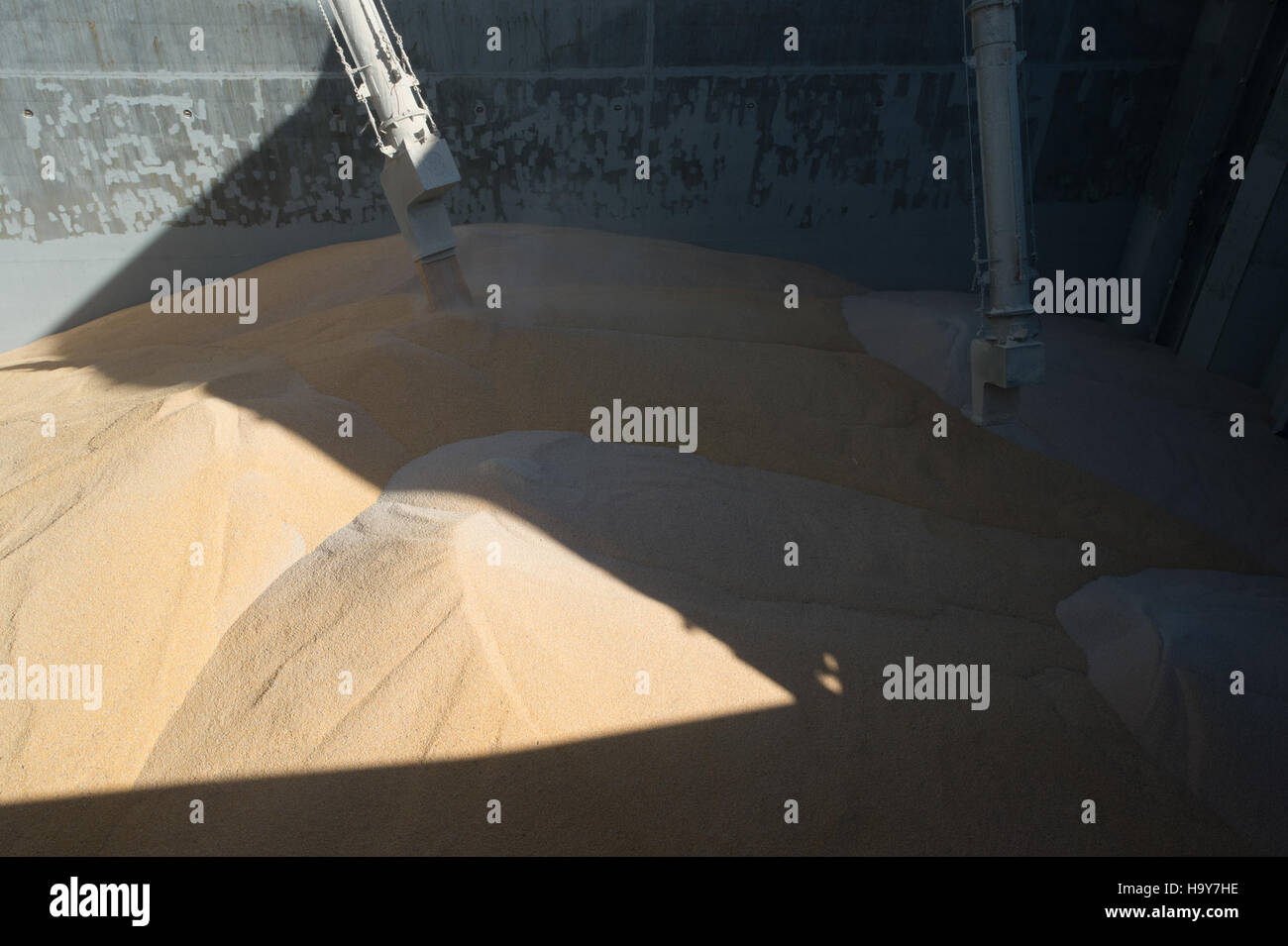 The USDA and Stockyards Agency (GIPSA) are responsible for regulating ...