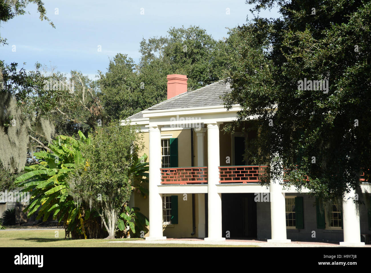This image captures an antebellum house surrounded by scenic trees ...