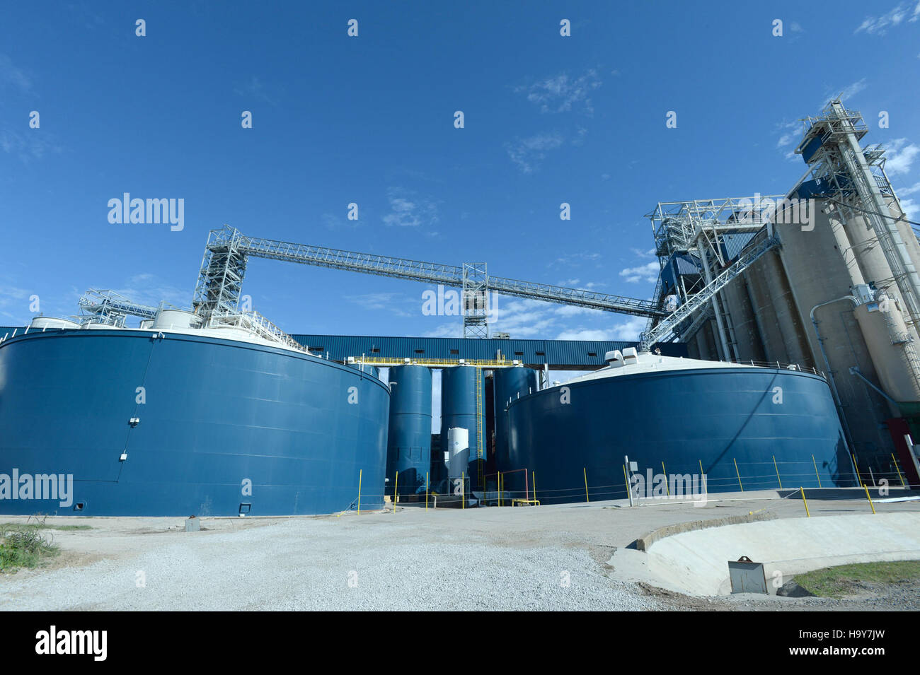 The U.S. Department of Agriculture (USDA) and the Grain Inspection ...