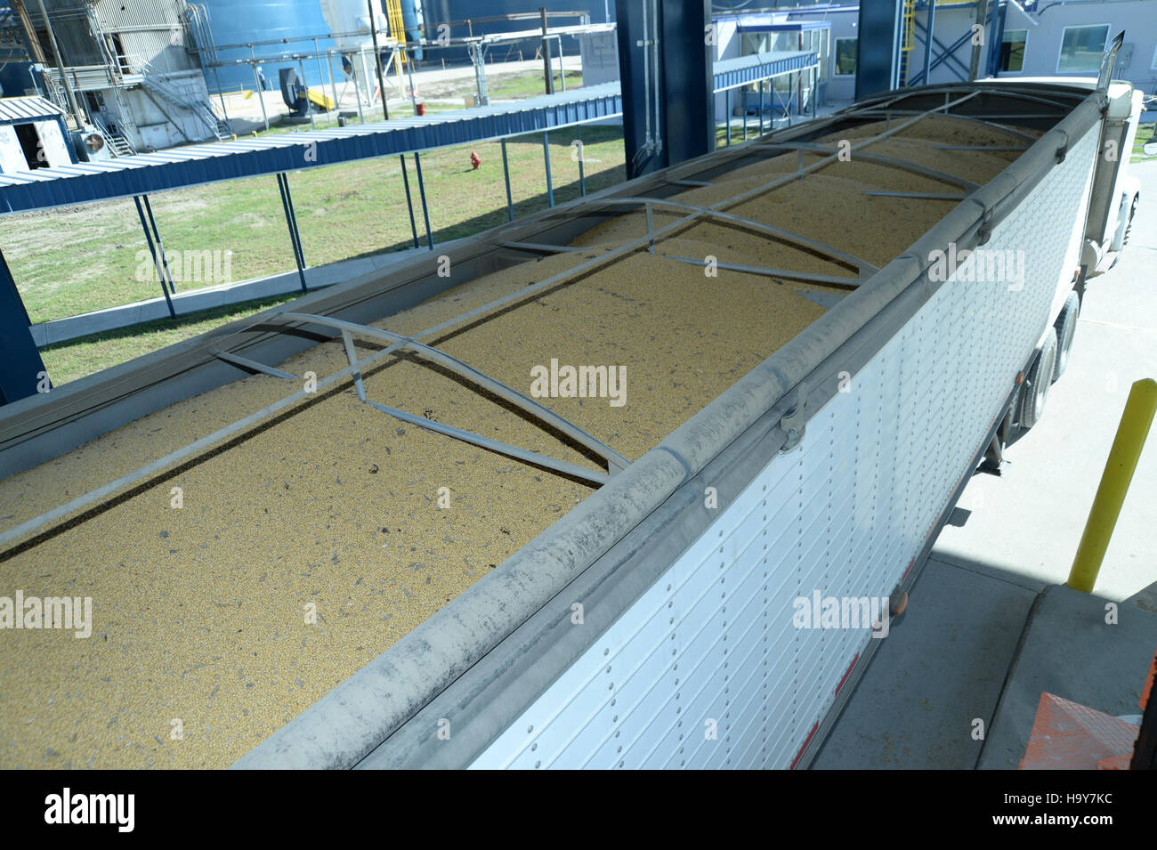 The USDA and GIPSA play a critical role in inspecting and testing ...