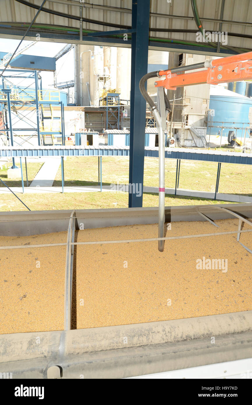 The USDA and GIPSA oversee grain inspection and testing, ensuring the ...