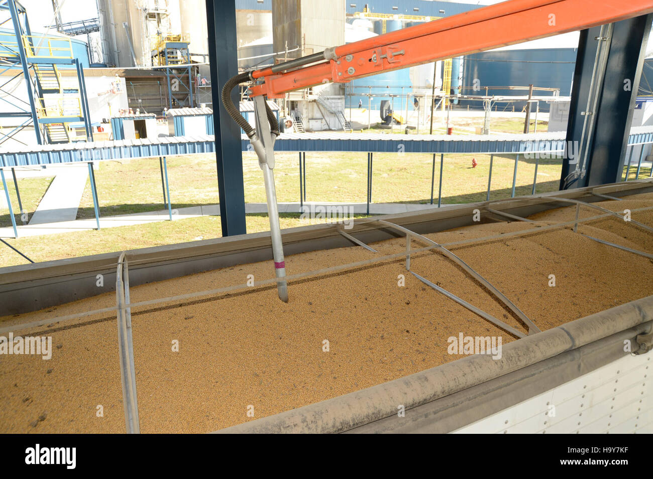 The USDA and GIPSA oversee grain inspection and testing procedures to ...