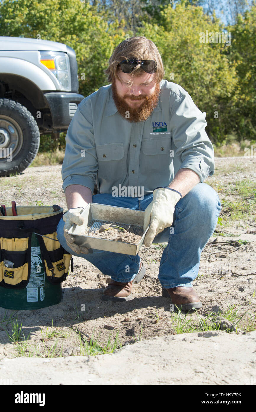 APHIS of the U.S. Department of Agriculture ensures the safety and ...