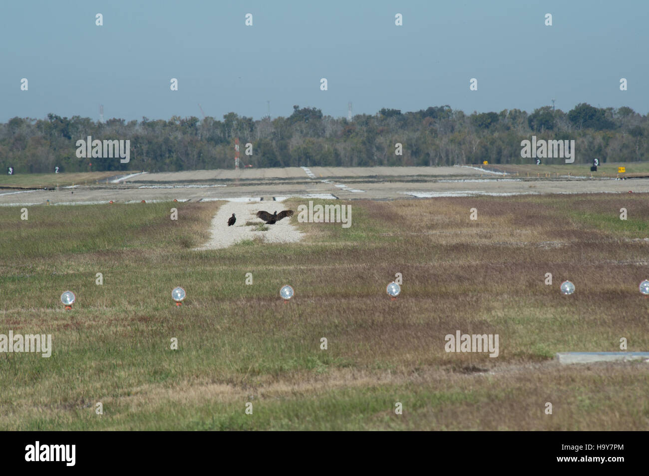 The USDA’s Animal and Plant Health Inspection Service (APHIS) monitors ...