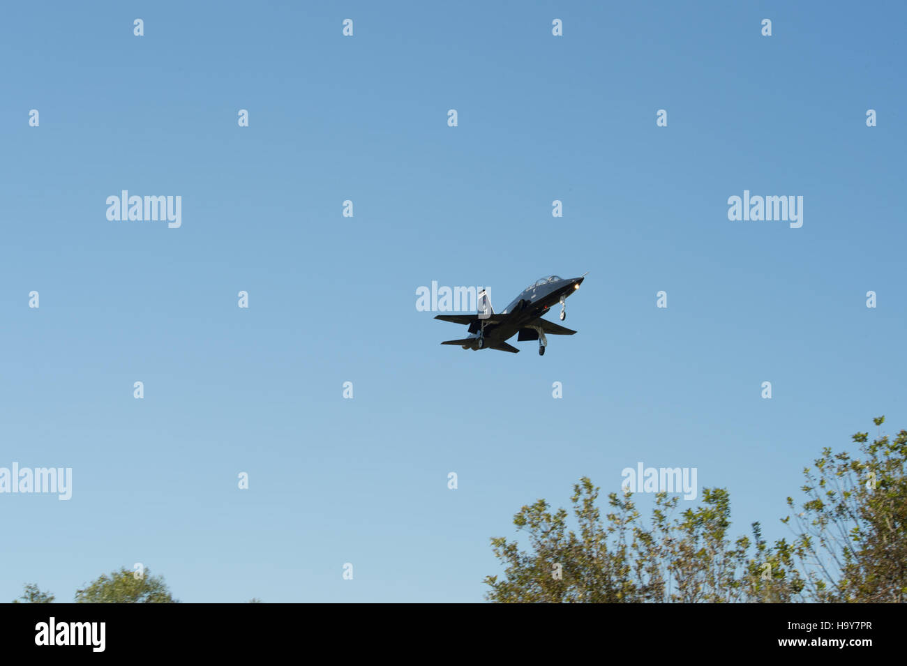 The USDA's Animal and Plant Health Inspection Service (APHIS) works to ...