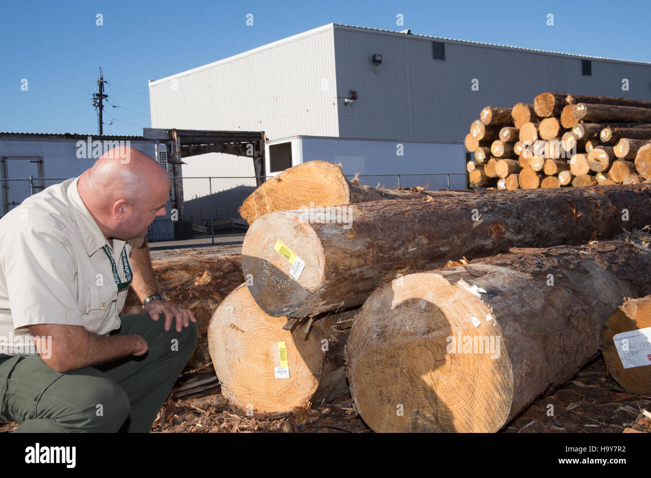 APHIS fumigation logs for wood products detail the USDA’s efforts to ...