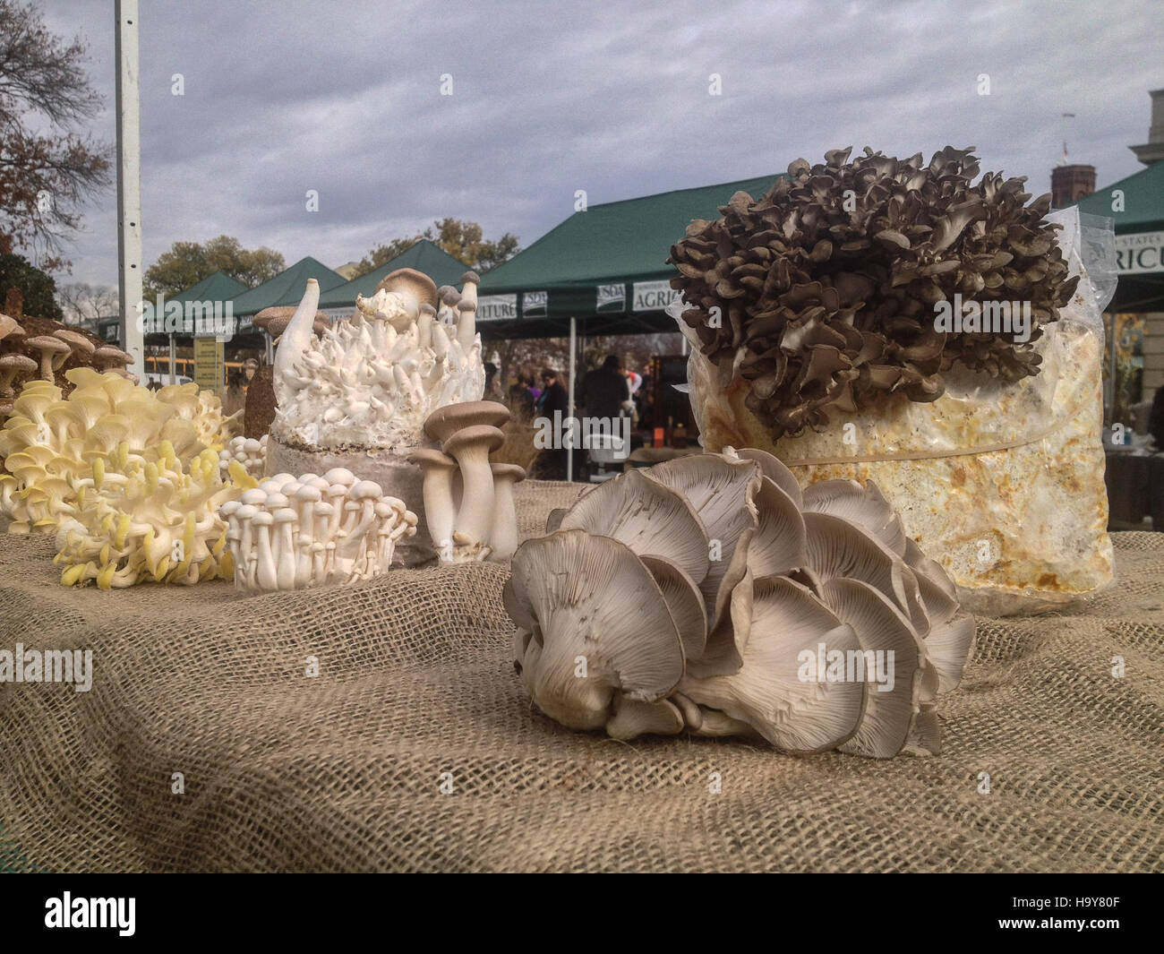 This image highlights the USDA's support for local farmers' markets ...