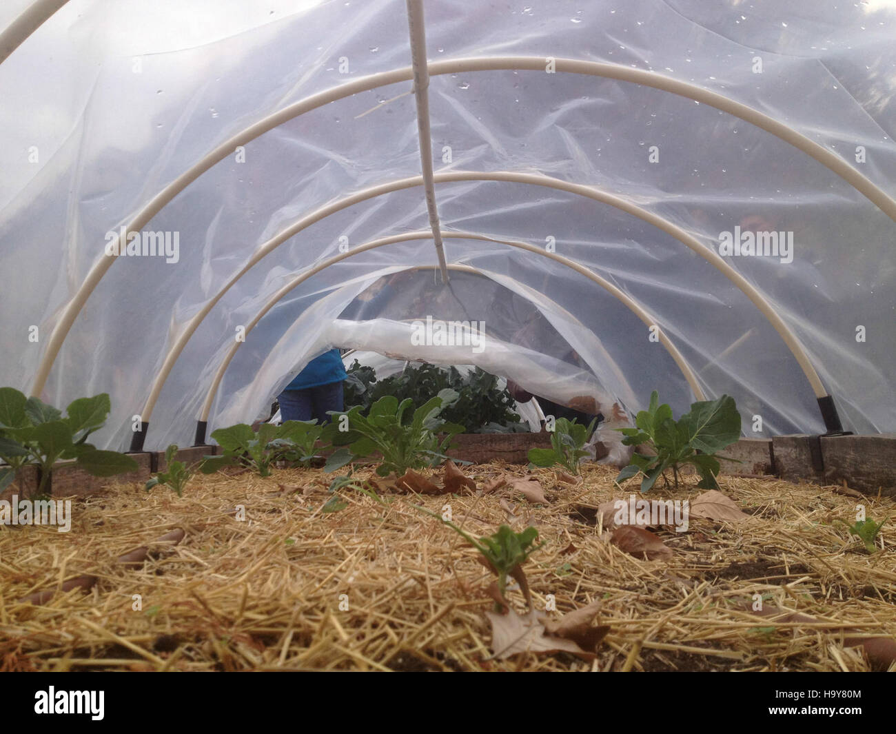 USDA promotes awareness about local farmers, food sourcing, and ...