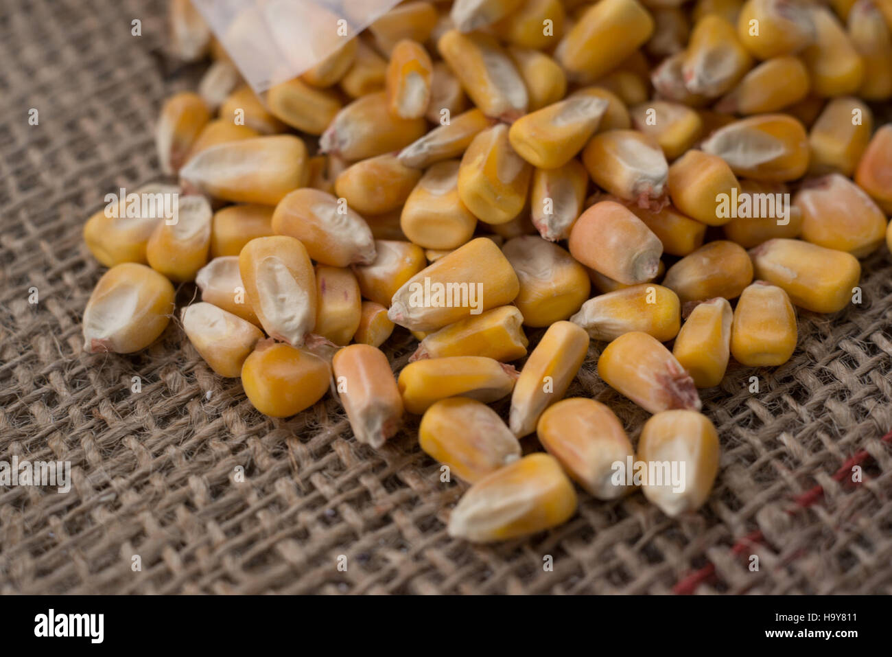 The USDA’s NRCS (Natural Resources Conservation Service) promotes ...