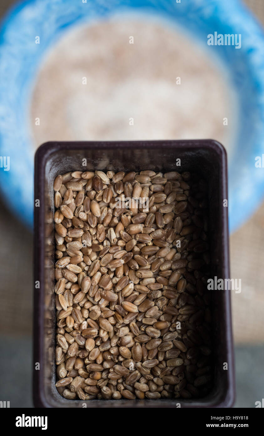 The USDA supports local food systems through Farmer's Markets and ...