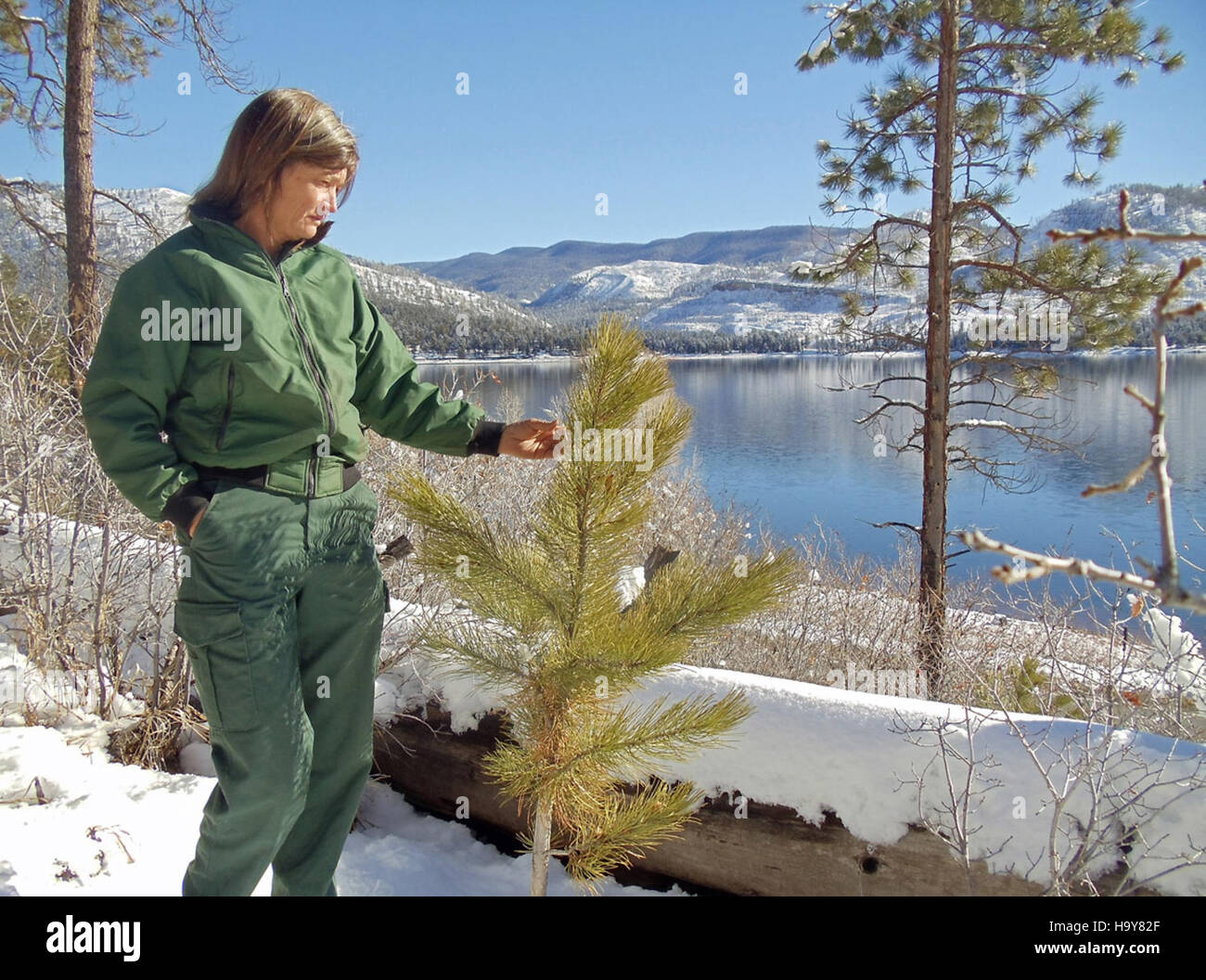 A Native seedling program helps restore native plant species in ...