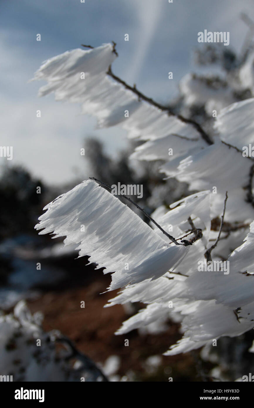 Photographs of atmospheric inversions in the Grand Canyon National Park ...