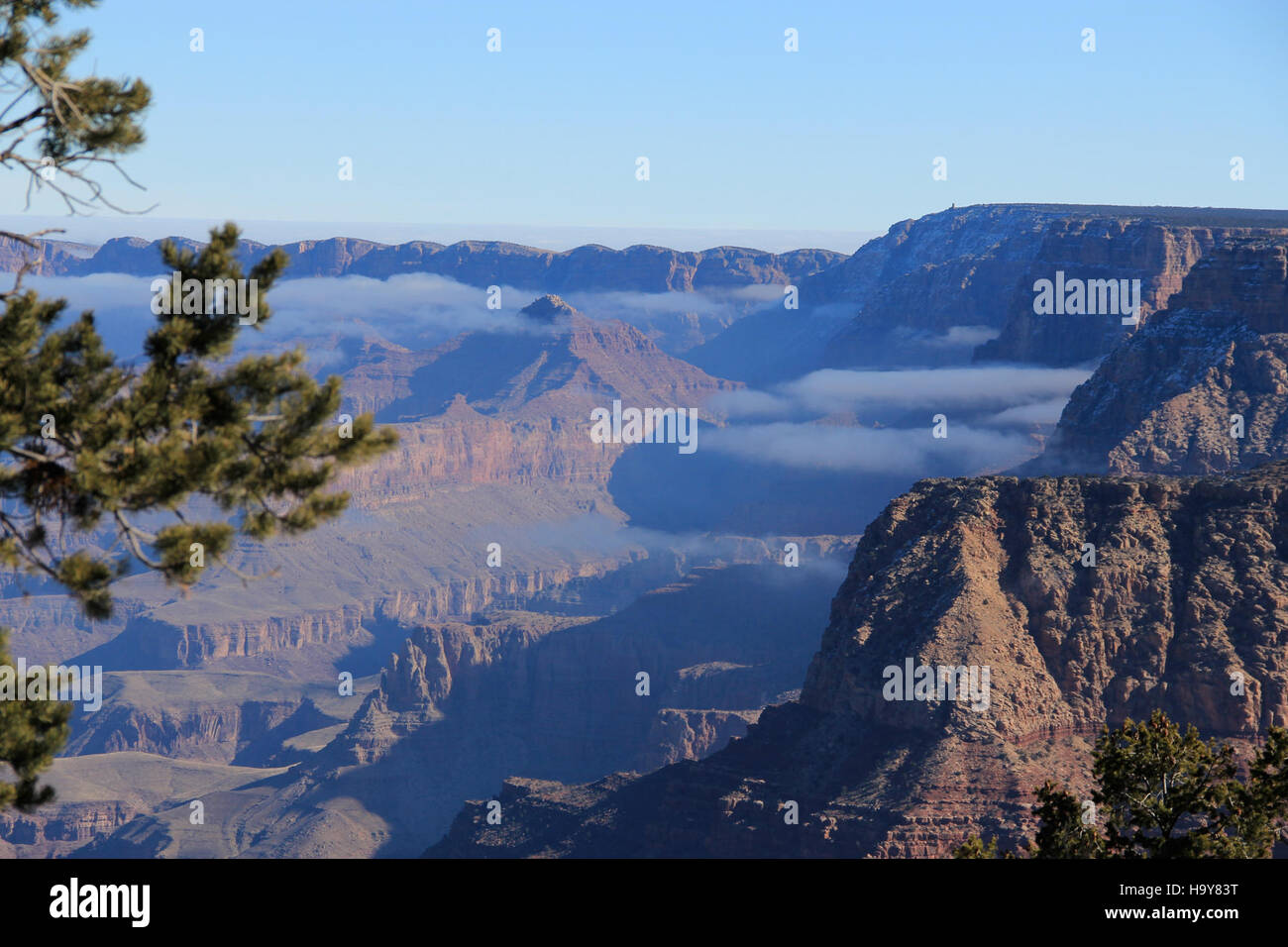 Inversion shots taken at the Grand Canyon showcase the unique ...