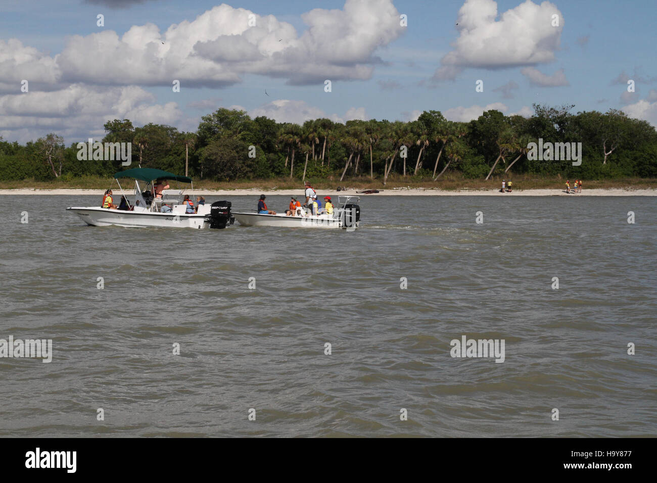 A rescue operation takes place at Everglades National Park to protect ...